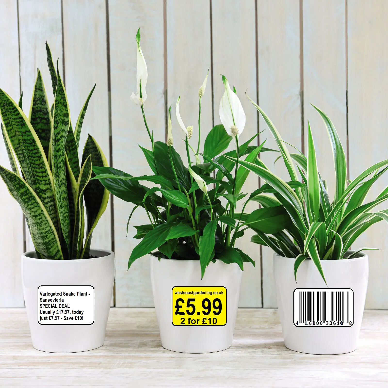 Bespoke Label Solutions | West Coast Labels | Quick Turnaround